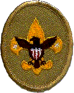 Advancing in Boy Scouts